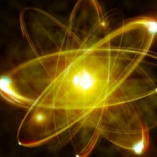 contact - Biontology Los Angeles